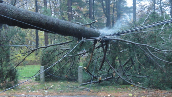 Electrical Safety: 10 Tips for Overhead Power Lines